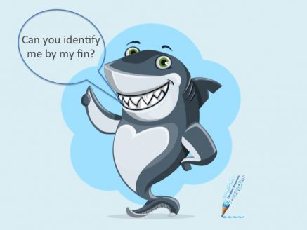 Shark Fin Guide and Software - identifying sharks by their fins